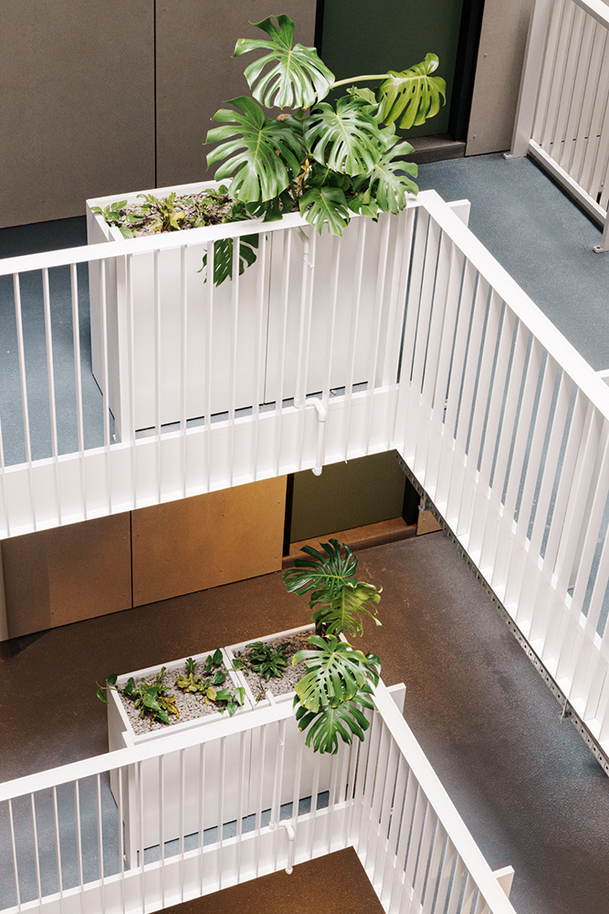 Assemble 15 Thompson Street, Kensington - Hayball